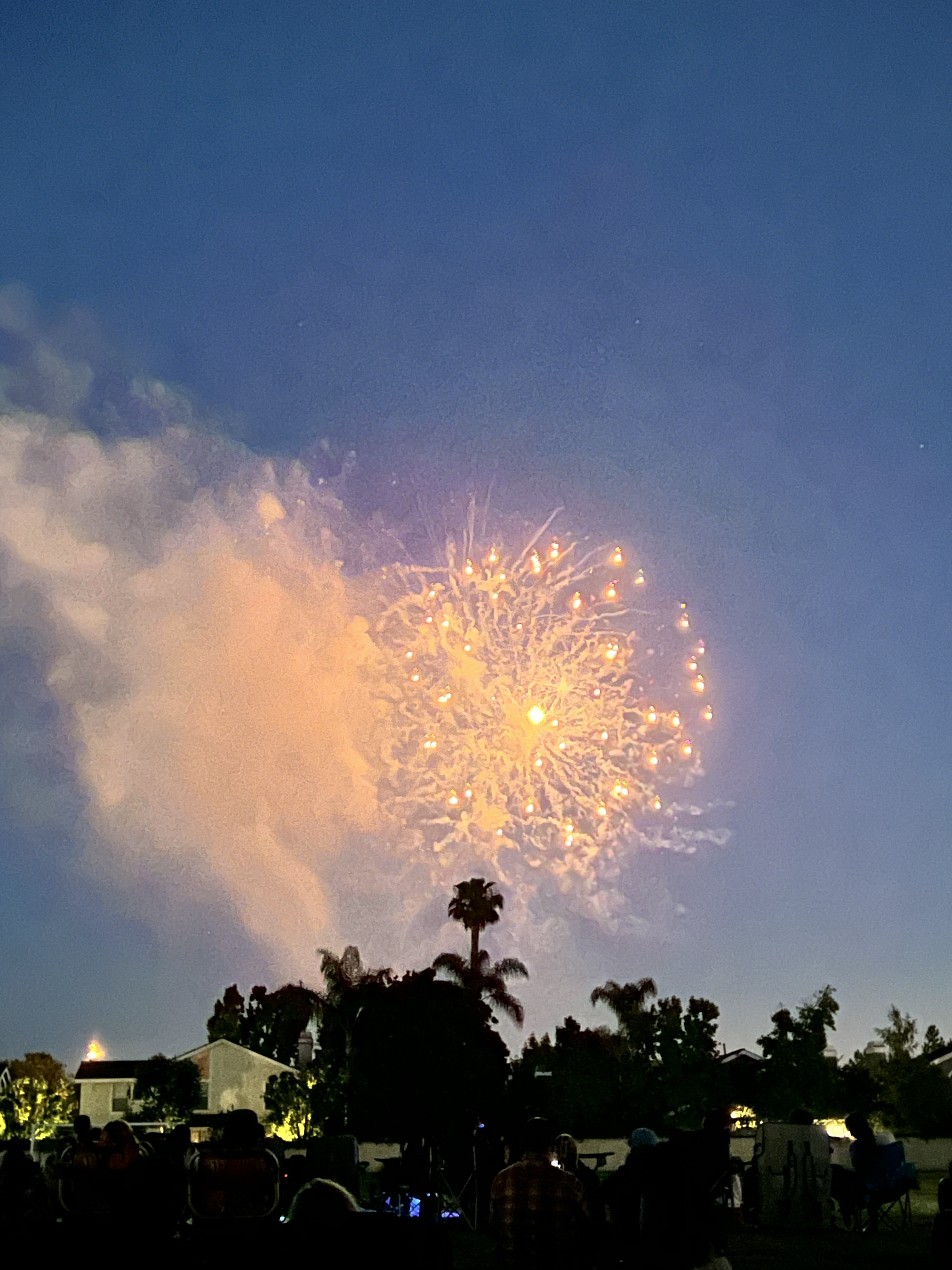 Fireworks – Battle Hymns of a Hot Mess Mom